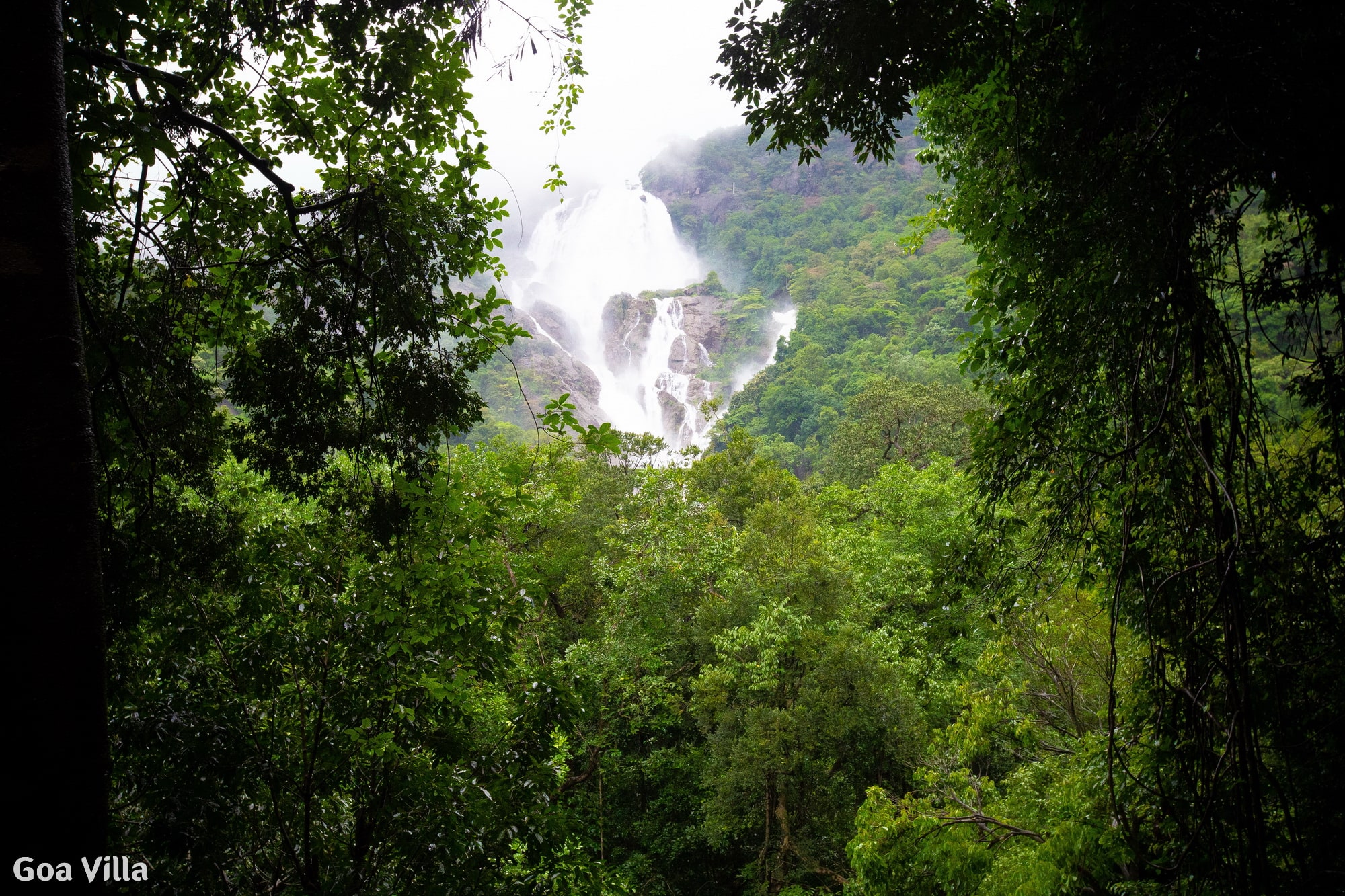 Dudhsagar Falls – the beauty of Goa — Goa Villa