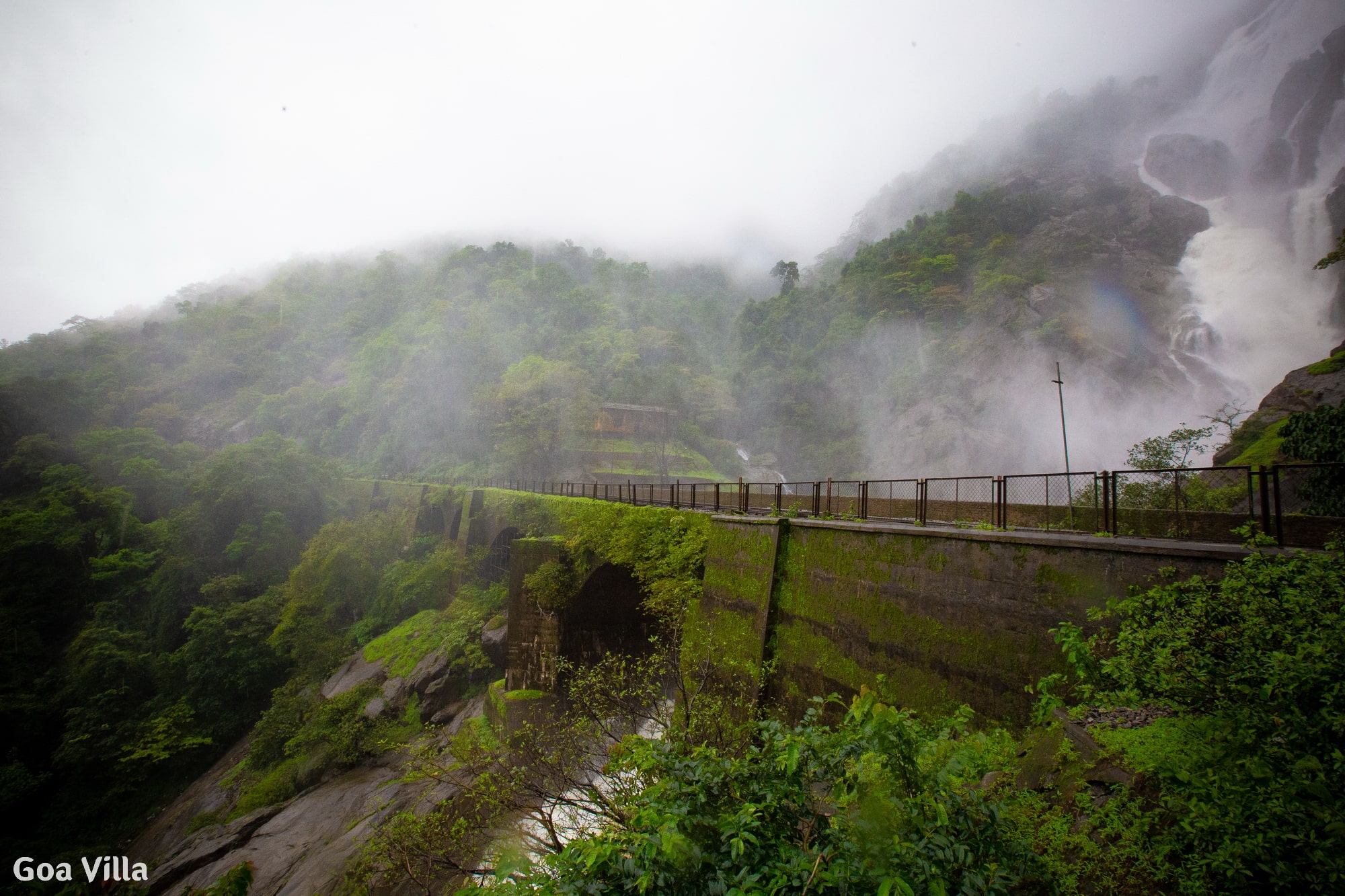 Dudhsagar Falls – the beauty of Goa — Goa Villa
