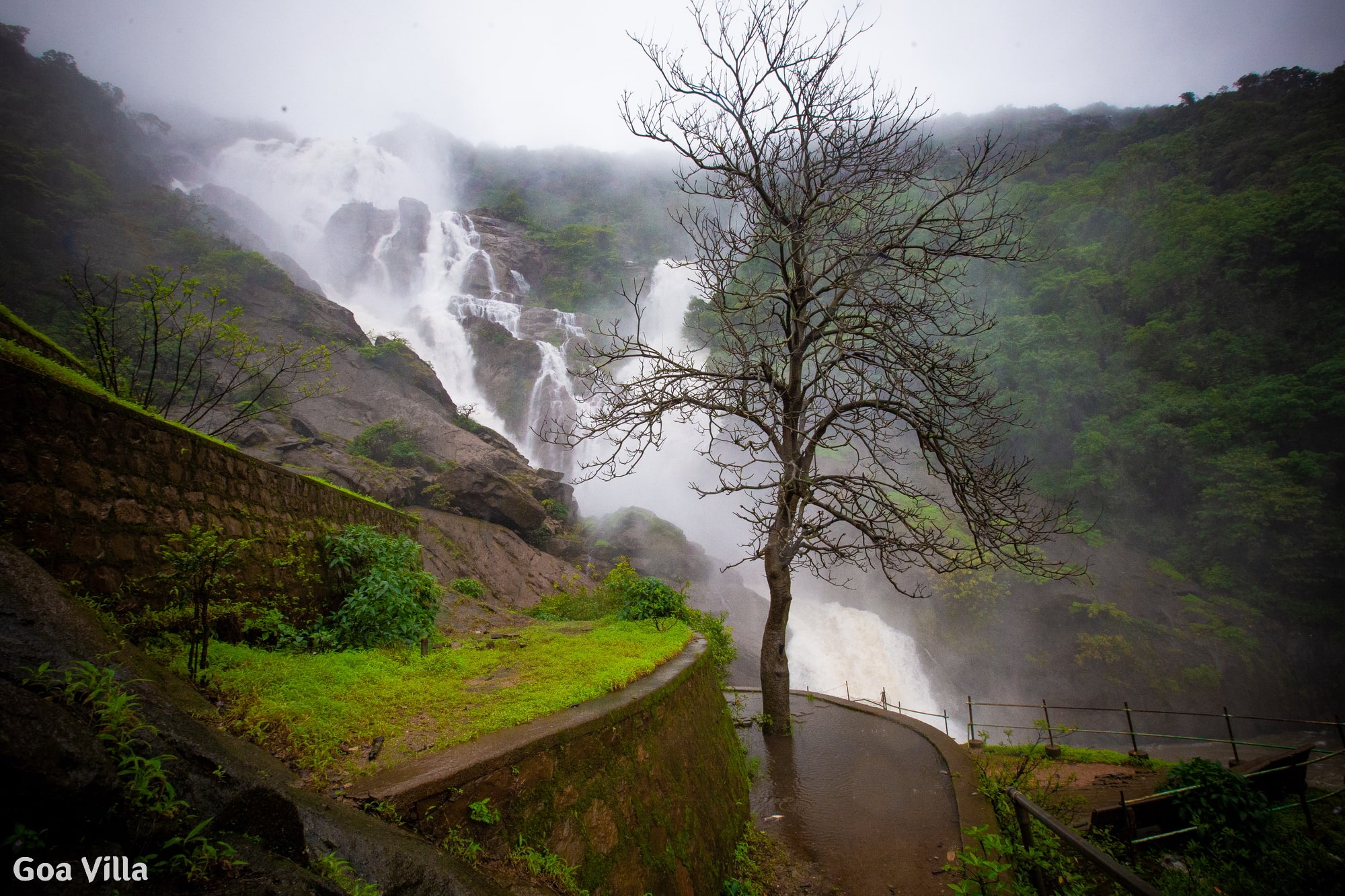 Dudhsagar Falls – the beauty of Goa — Goa Villa