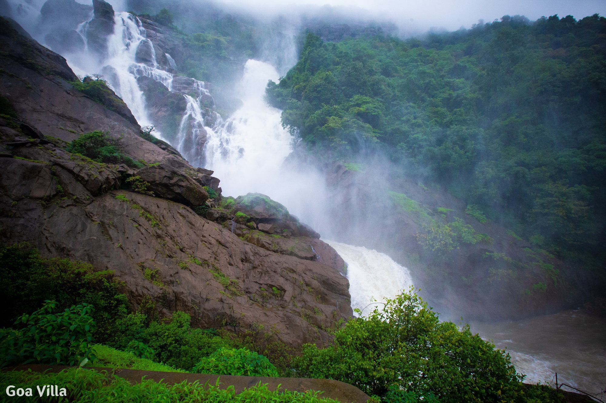 Dudhsagar Falls – the beauty of Goa — Goa Villa
