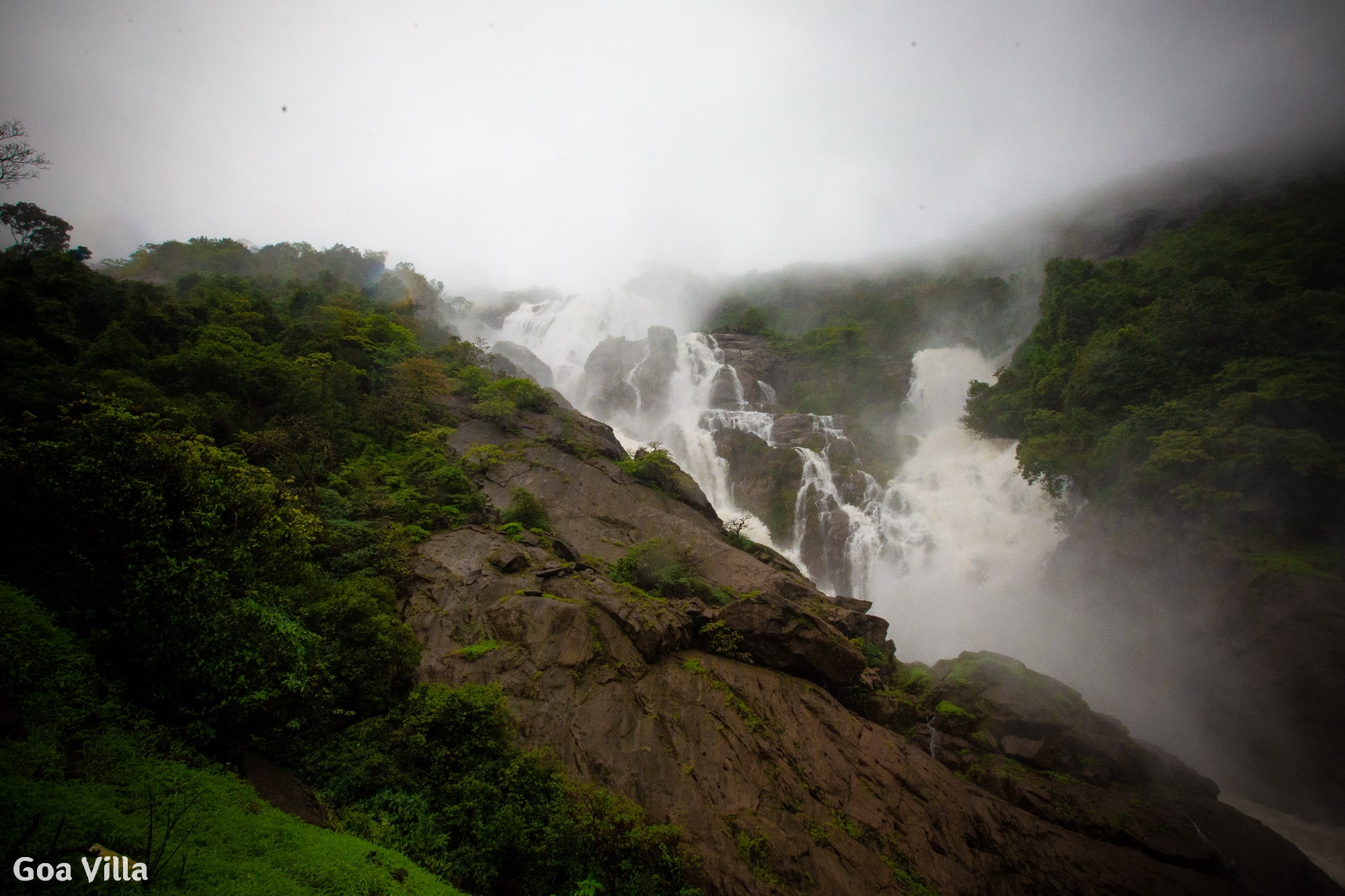 Dudhsagar Falls – the beauty of Goa — Goa Villa