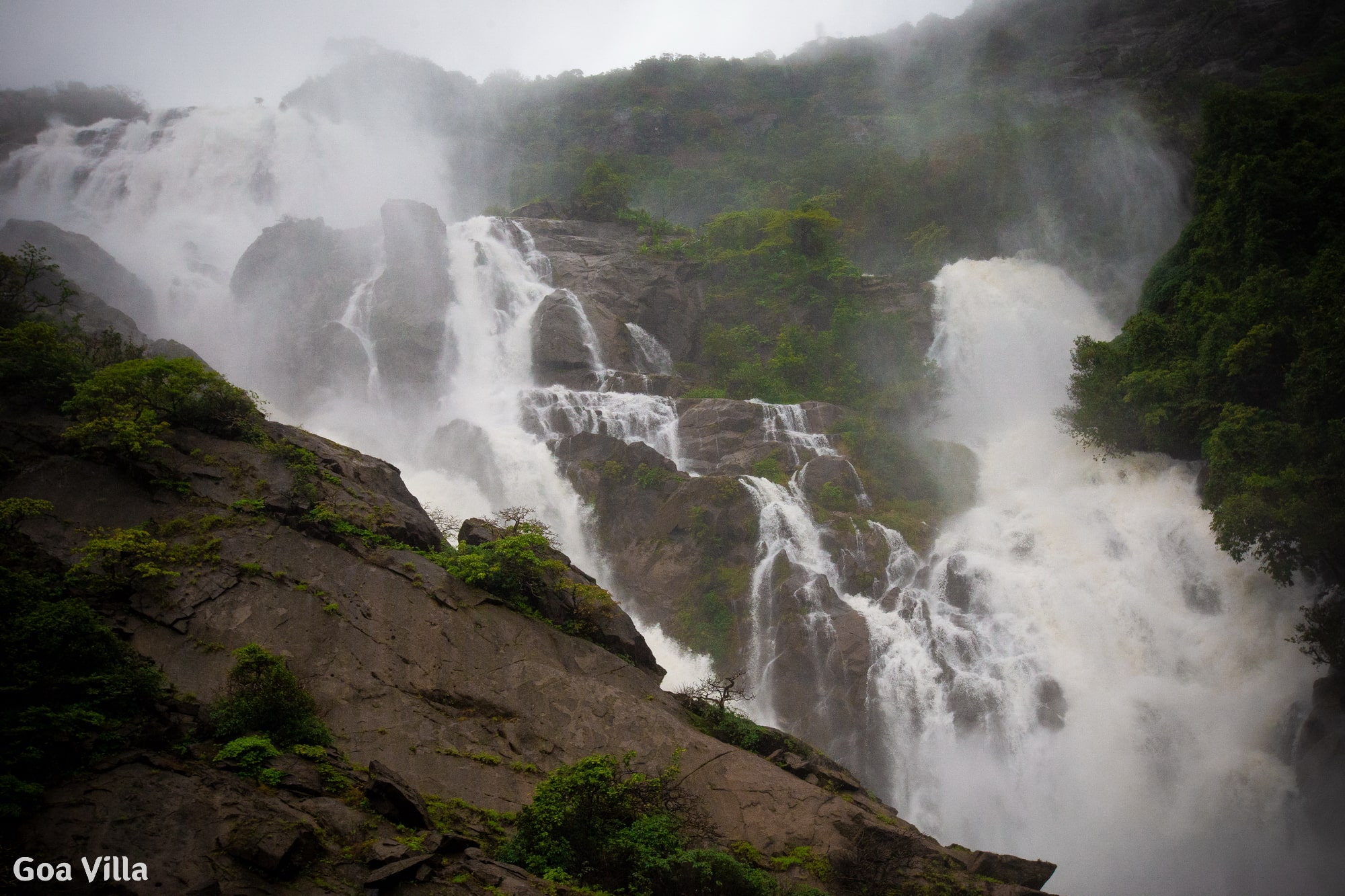 Dudhsagar Falls – the beauty of Goa — Goa Villa