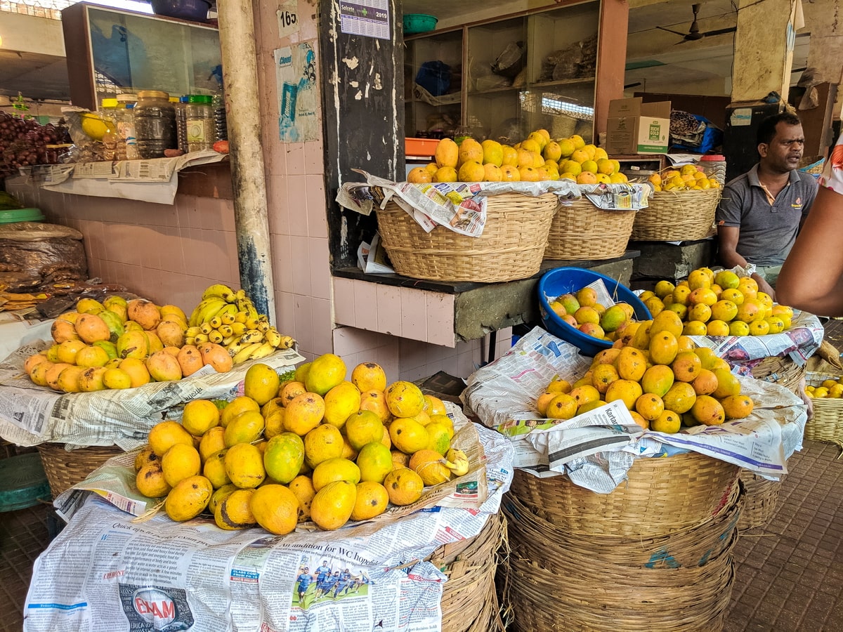 Fruits of Goa [Comprehensive Guide 2024] — Goa Villa