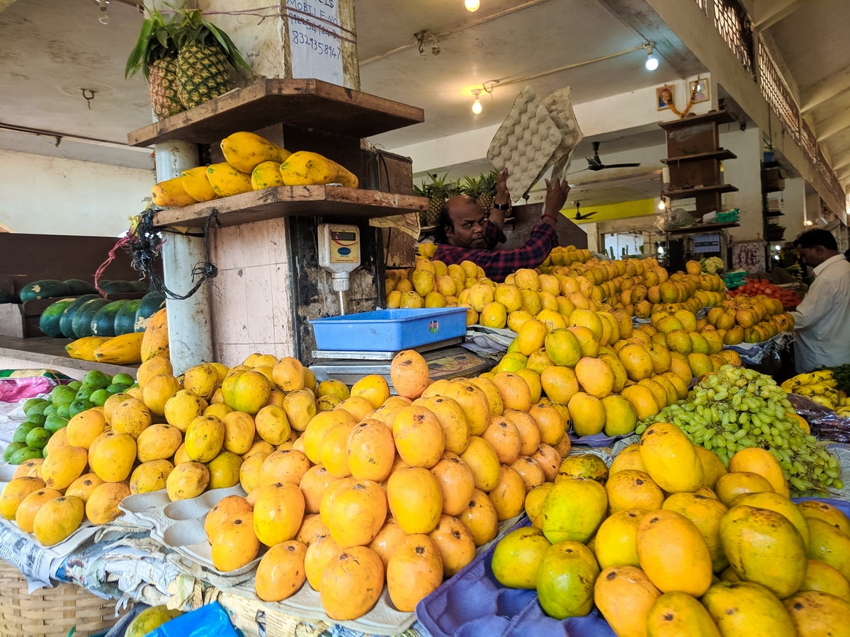 Fruits of Goa [Comprehensive Guide 2024] — Goa Villa