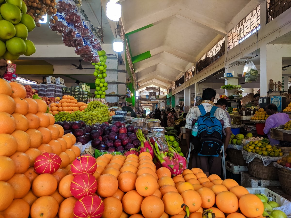 Goa in April 2024 — Top 4 Reasons for Visiting Goa in April