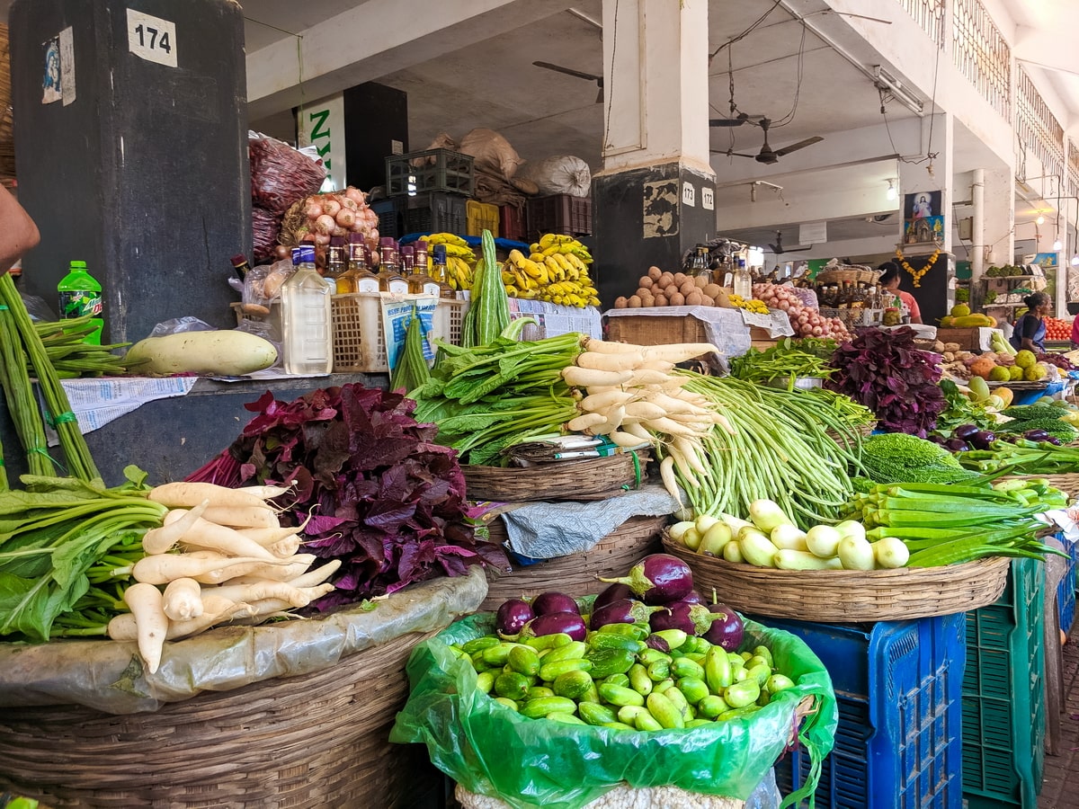 Goa in April 2024 — Top 4 Reasons for Visiting Goa in April