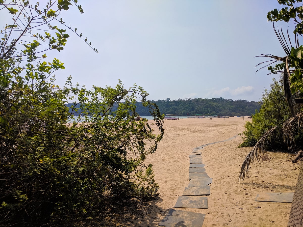 Goa in April 2024 — Top 4 Reasons for Visiting Goa in April