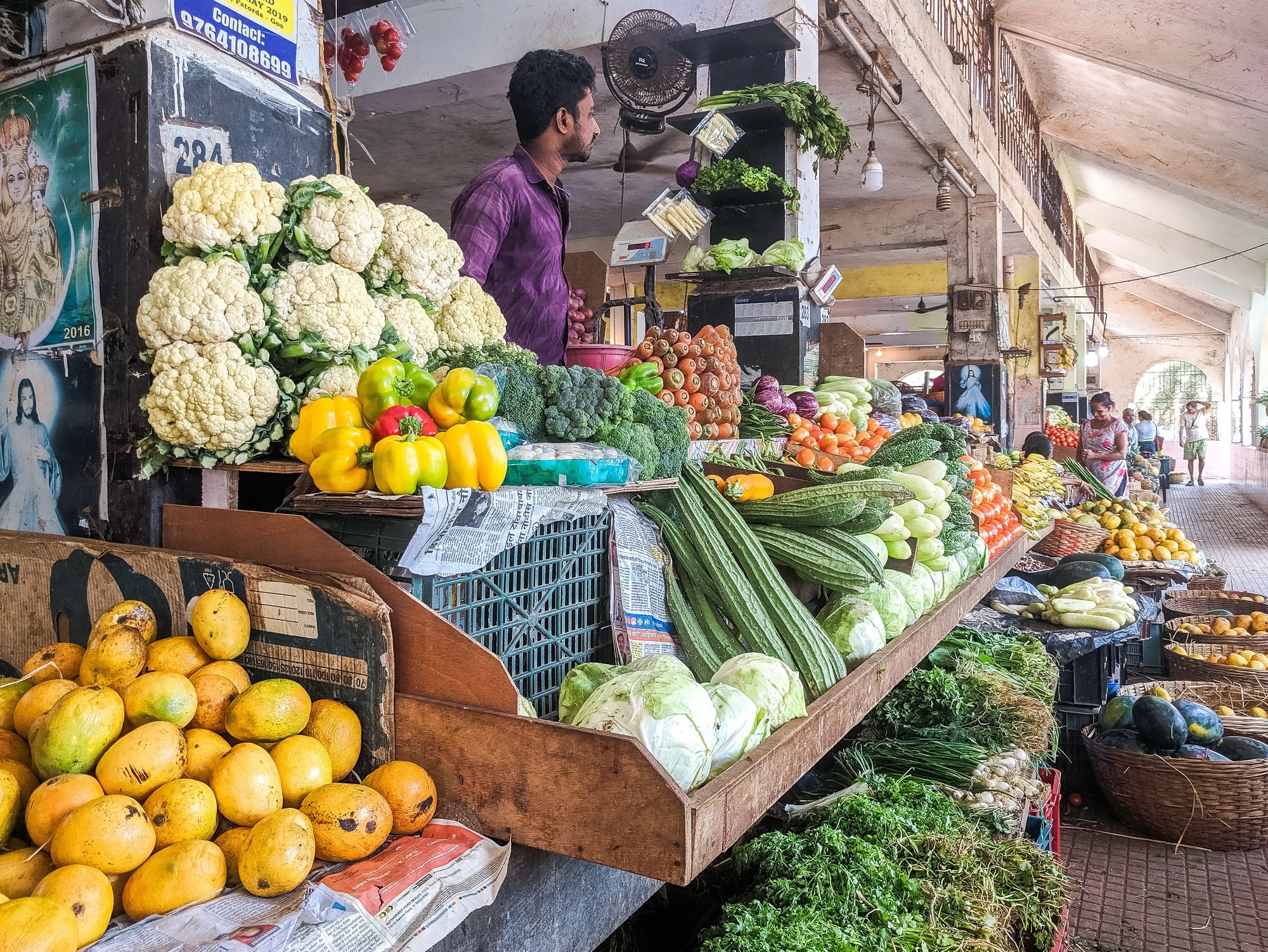 Goa in May 2025 — Top 6 Things To Do In Goa In May — Goa Villa