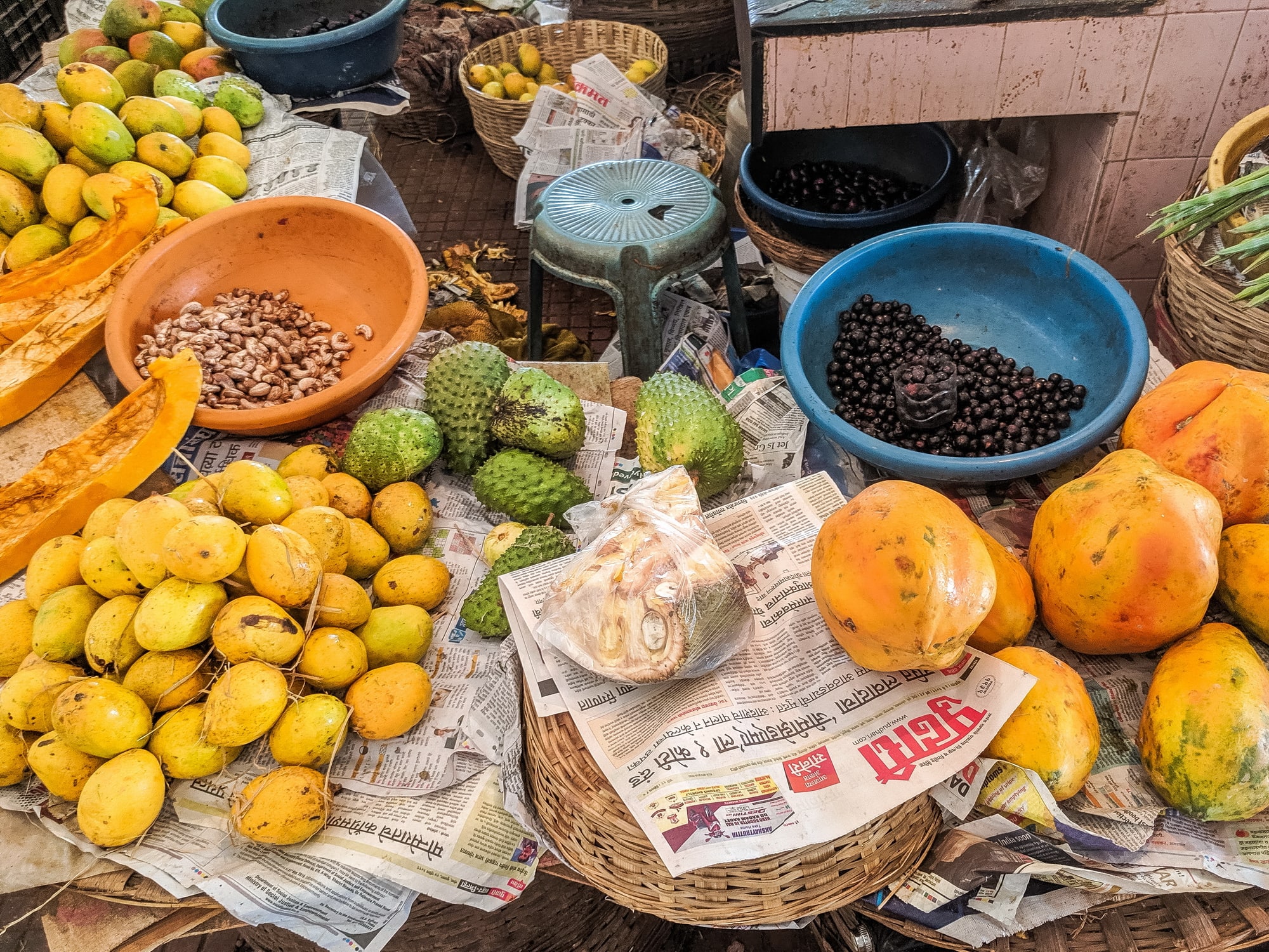 Goa in May 2025 — Top 6 Things To Do In Goa In May — Goa Villa